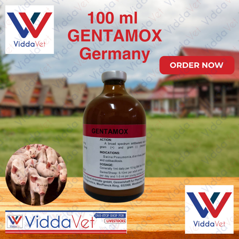 Gentamox Germany 100mL - Professional Veterinary Antibiotic | Viddavet ...