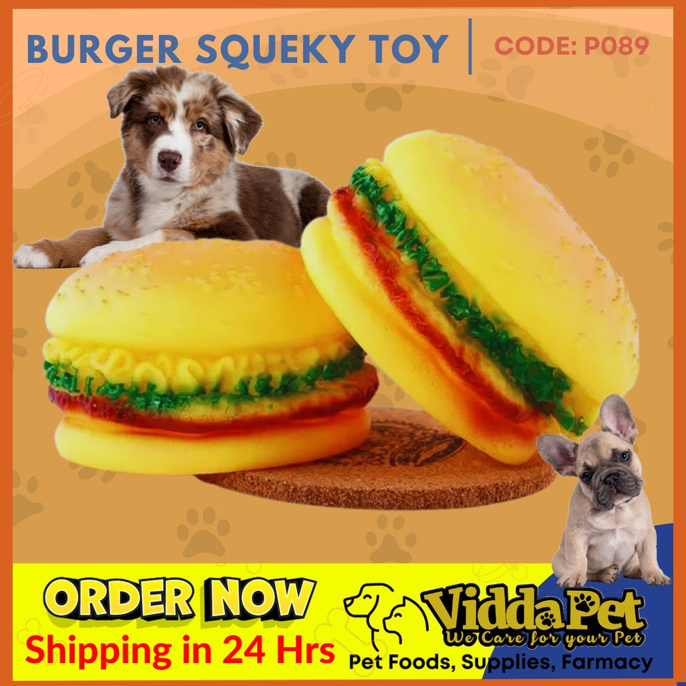 Burger Squeaky Toy - Interactive Dog Toy for Puppies & Dogs | Viddavet ...