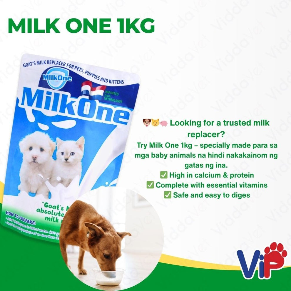 Milk One Powdered Milk Replacer 1kg - Premium Puppy & Kitten Formula ...
